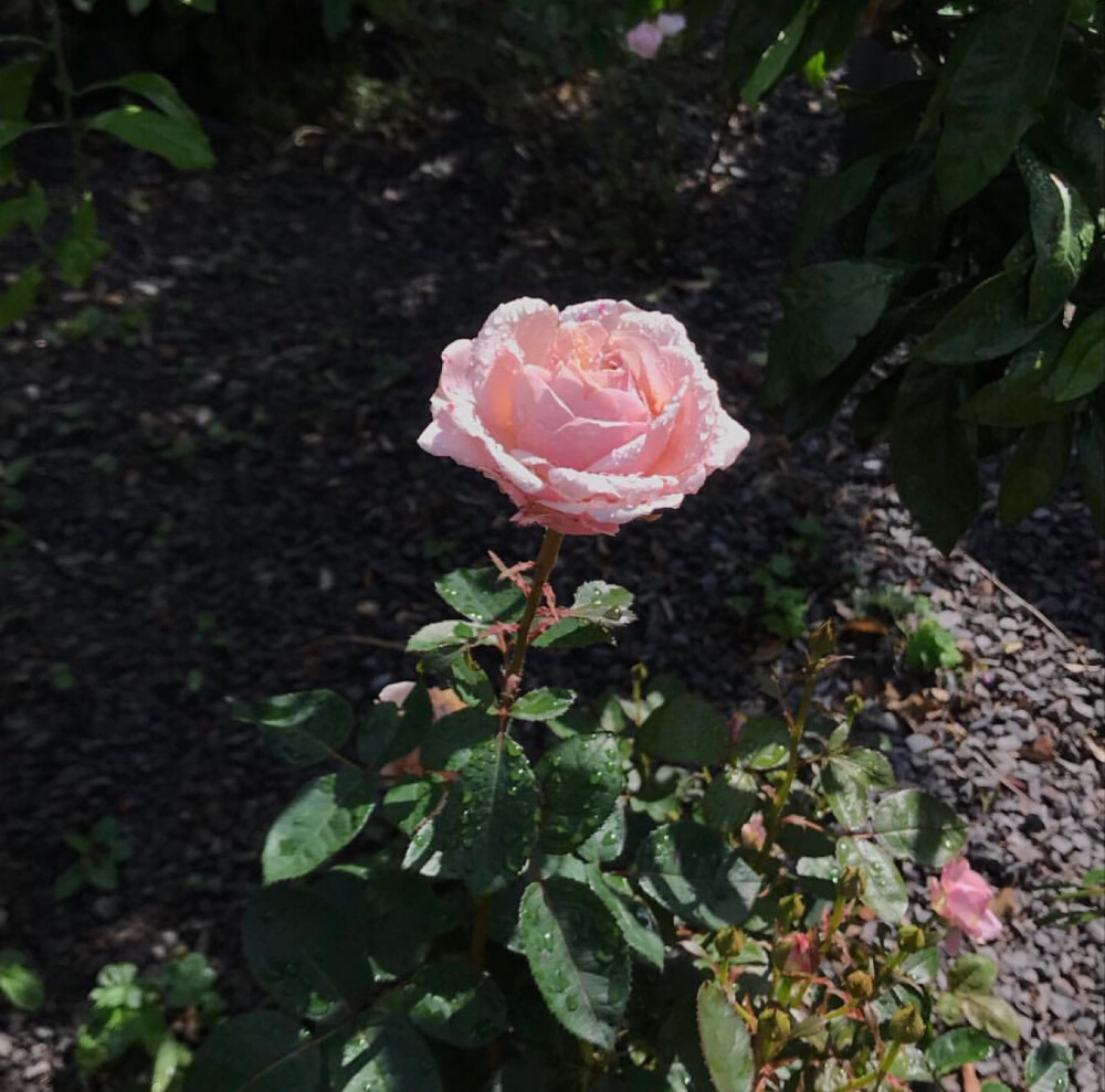 正方形 - 高清图片，堆糖，美图壁纸兴趣社区