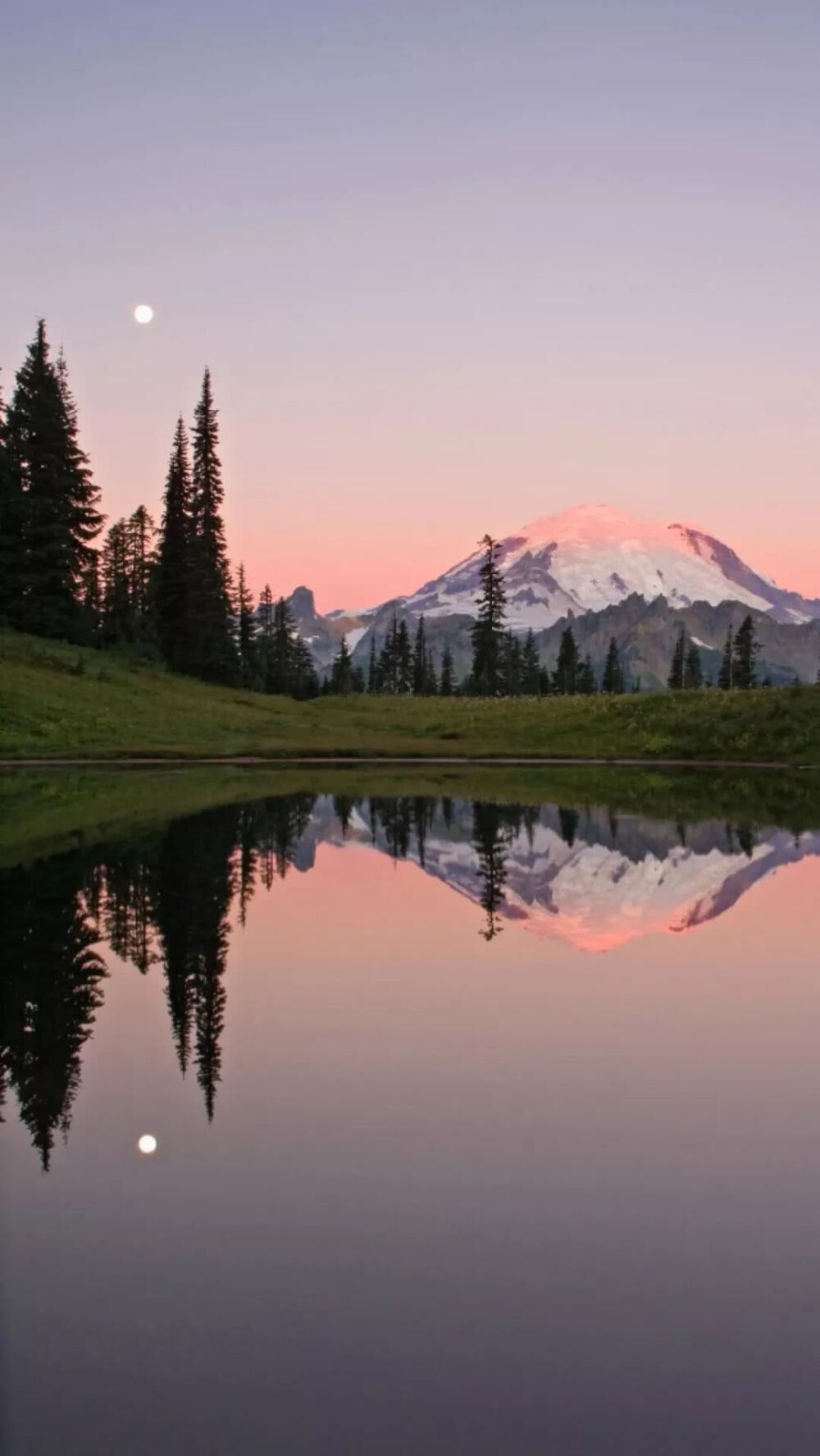 壁纸 | 早晨起来，要对着镜子给生活一个假… - 高清图片，堆糖，美图壁纸兴趣社区