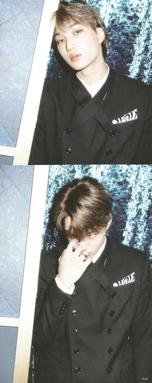 EXO 金钟仁 KAI cr：xo_pitapat - 高清图片，堆糖，美图壁纸兴趣社区