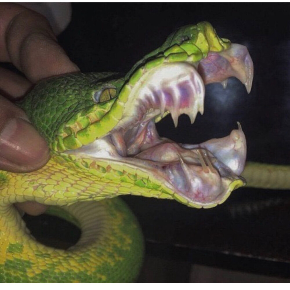 高清图片，堆糖，美图壁纸兴趣社区