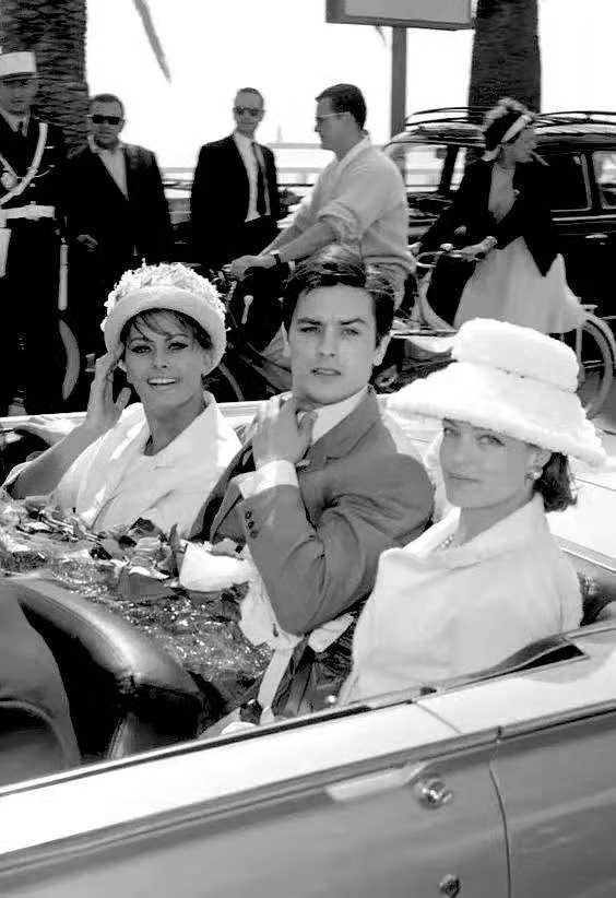 1962年戛纳，索菲亚罗兰.阿兰德龙.罗密施奈… - 高清图片，堆糖，美图壁纸兴趣社区