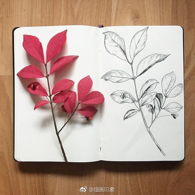 秋天的叶子~【插画师：Courtney Roth】 - 高清图片，堆糖，美图壁纸兴趣社区