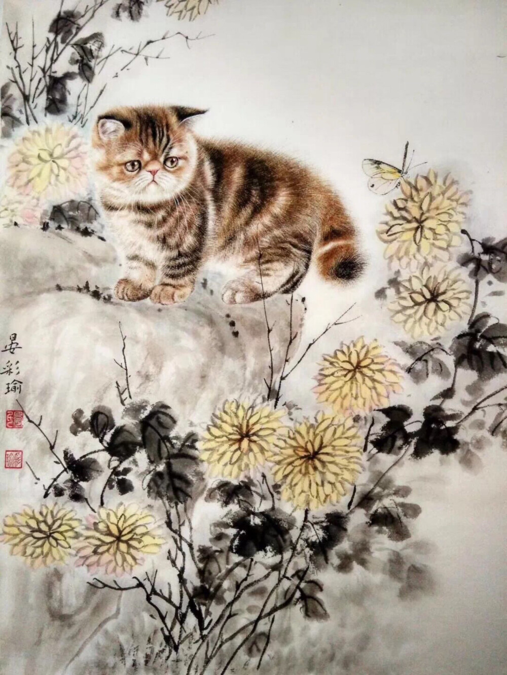 国画猫 - 高清图片，堆糖，美图壁纸兴趣社区