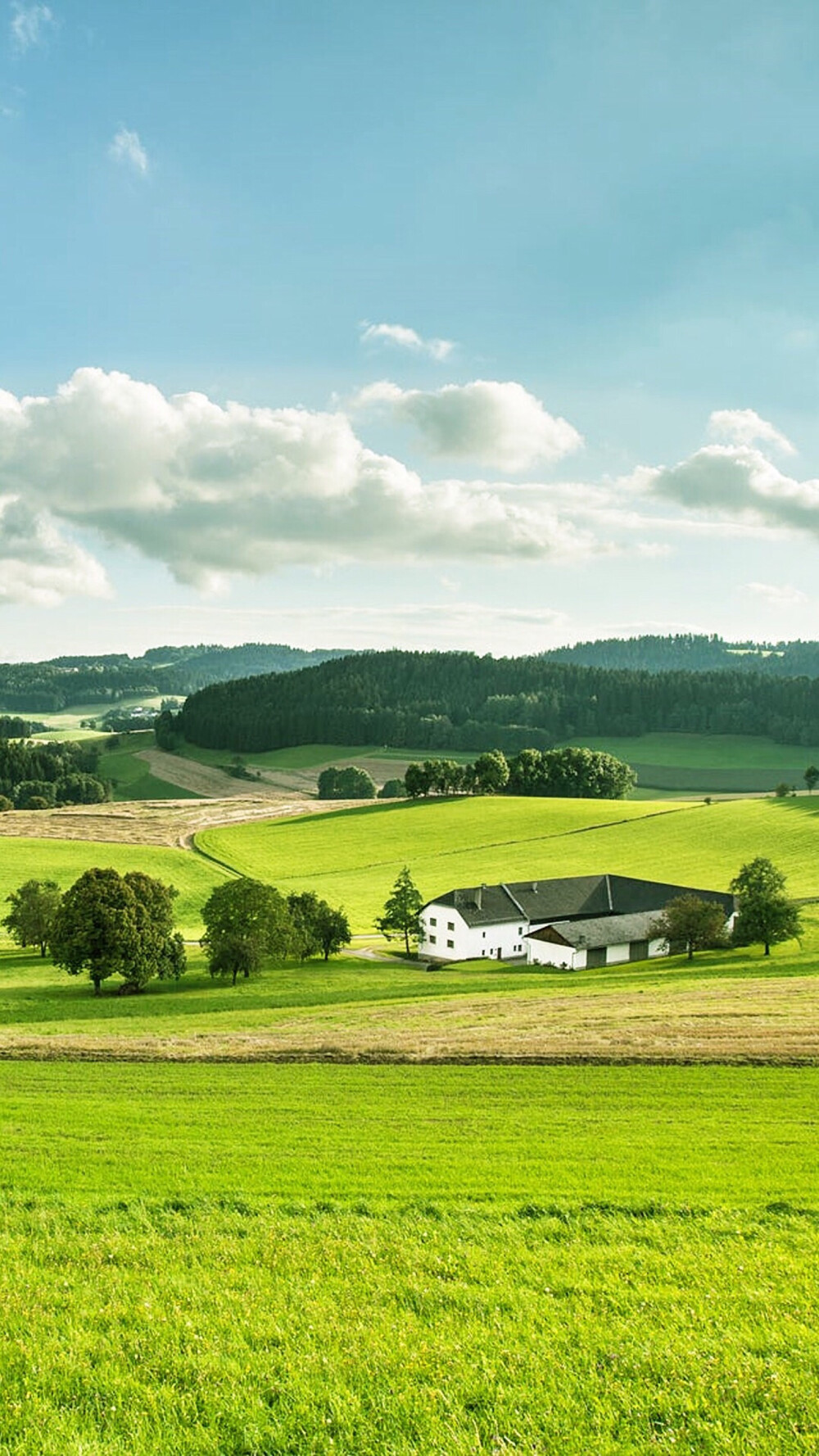 壁纸 - 堆糖，美图壁纸兴趣社区