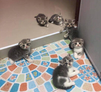 奴才表情包 - 高清图片，堆糖，美图壁纸兴趣社区