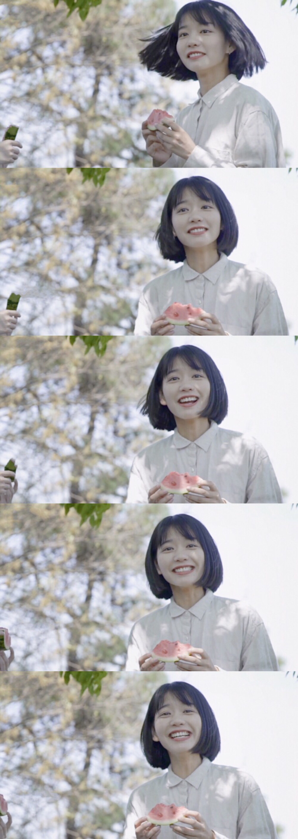 房东的猫 - 高清图片，堆糖，美图壁纸兴趣社区