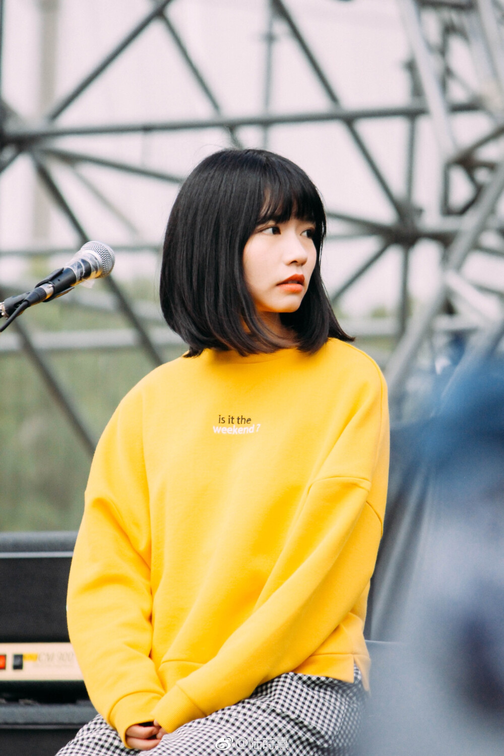 房东的猫 - 堆糖，美图壁纸兴趣社区