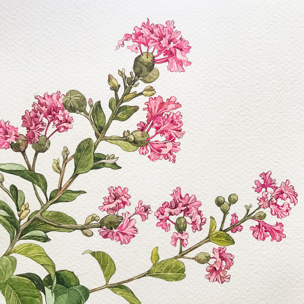 ins ：dang_go - 高清图片，堆糖，美图壁纸兴趣社区