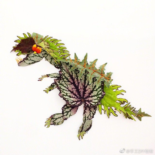 一花一叶一世界 （cr.Bridget Beth Collins… - 高清图片，堆糖，美图壁纸兴趣社区