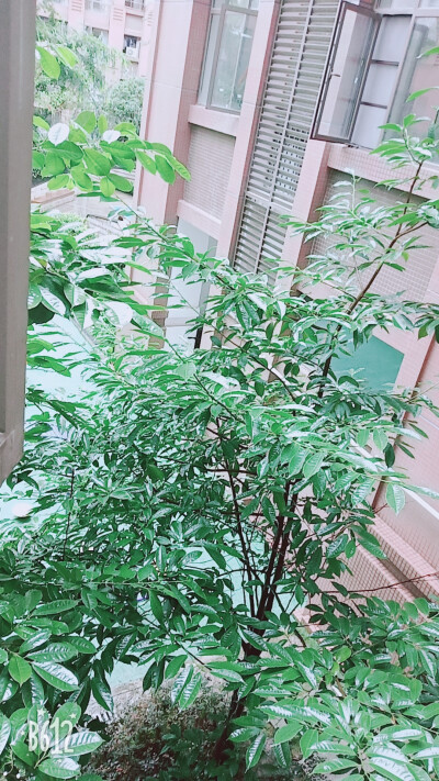 emmm...自己拍的 - 高清图片，堆糖，美图壁纸兴趣社区