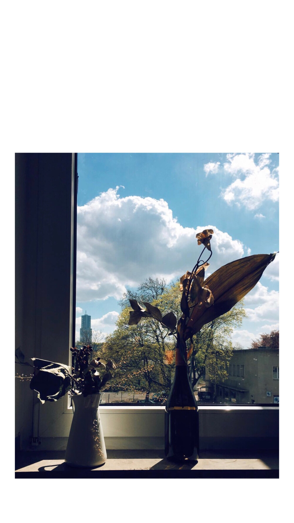 190811 - 高清图片，堆糖，美图壁纸兴趣社区