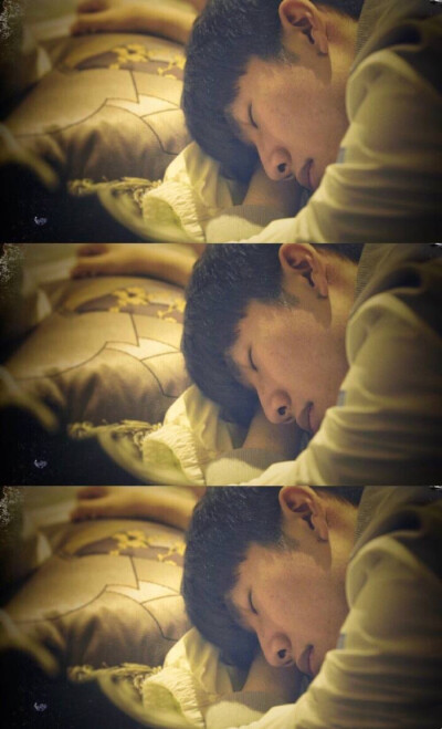 The shy - 高清图片，堆糖，美图壁纸兴趣社区