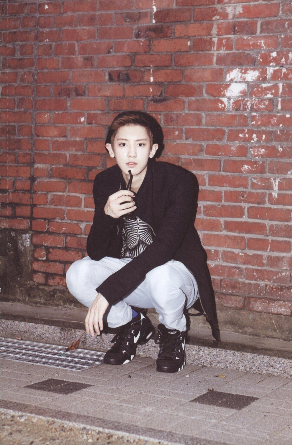 咆哮 - 高清图片，堆糖，美图壁纸兴趣社区