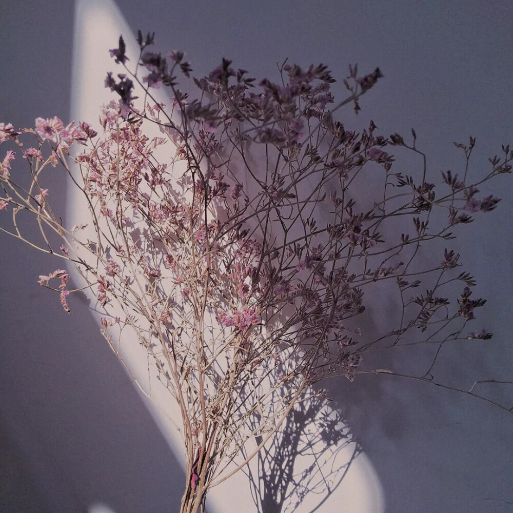 仙女背景图 - 高清图片，堆糖，美图壁纸兴趣社区