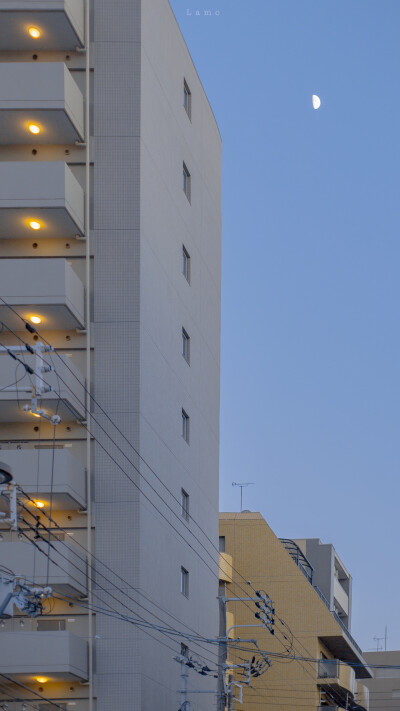 LAMO - 高清图片，堆糖，美图壁纸兴趣社区