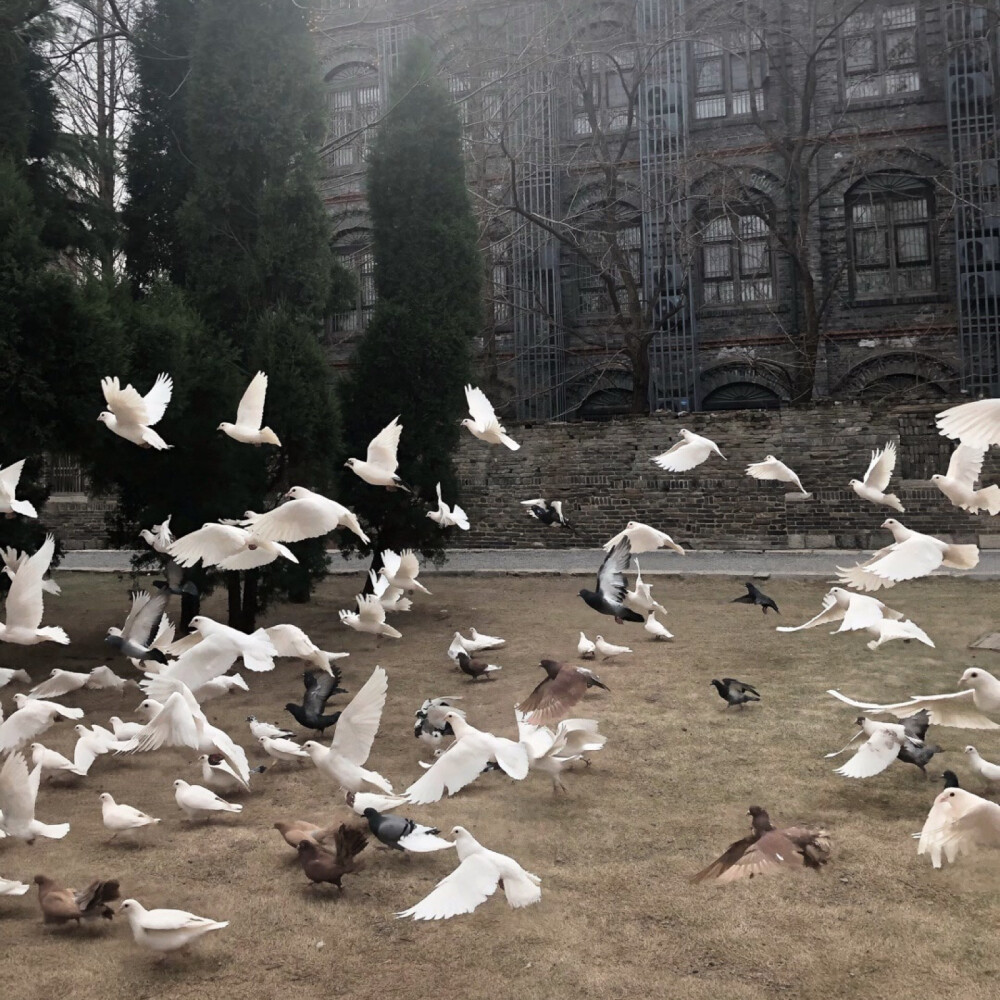 背景pyq - 高清图片，堆糖，美图壁纸兴趣社区