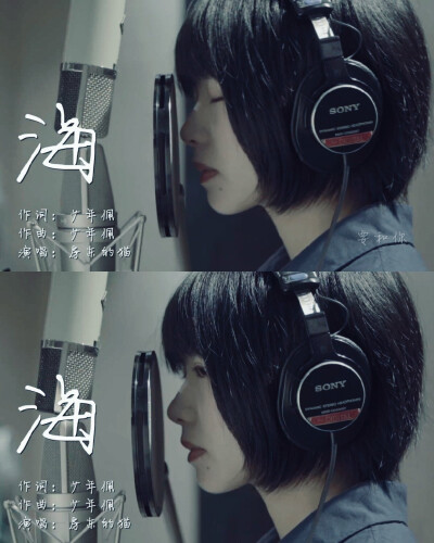 房东的猫 - 高清图片，堆糖，美图壁纸兴趣社区