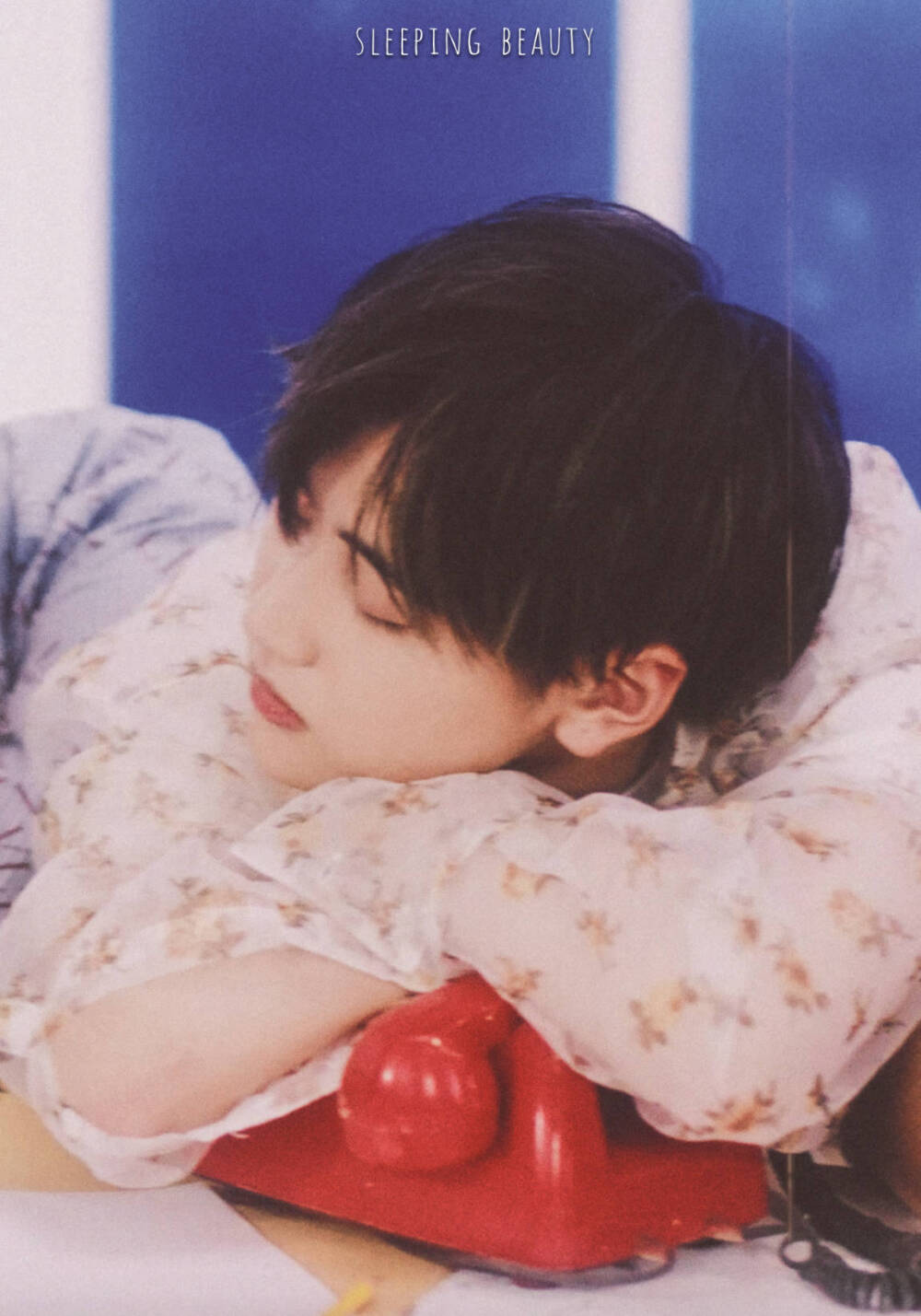 lu la lu la - 高清图片，堆糖，美图壁纸兴趣社区