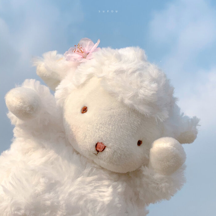 Spring day ๑☁︎☼ 壁纸/背景/朋友圈背… - 高清图片，堆糖，美图壁纸兴趣社区