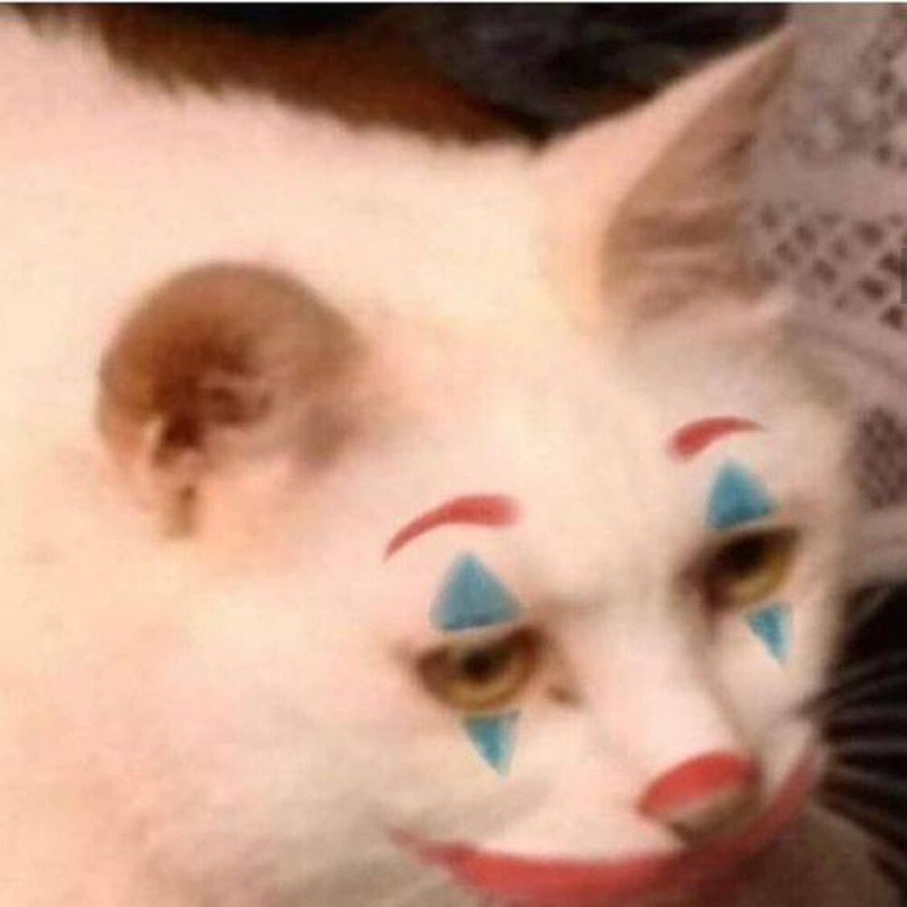 JOKER - 高清图片，堆糖，美图壁纸兴趣社区