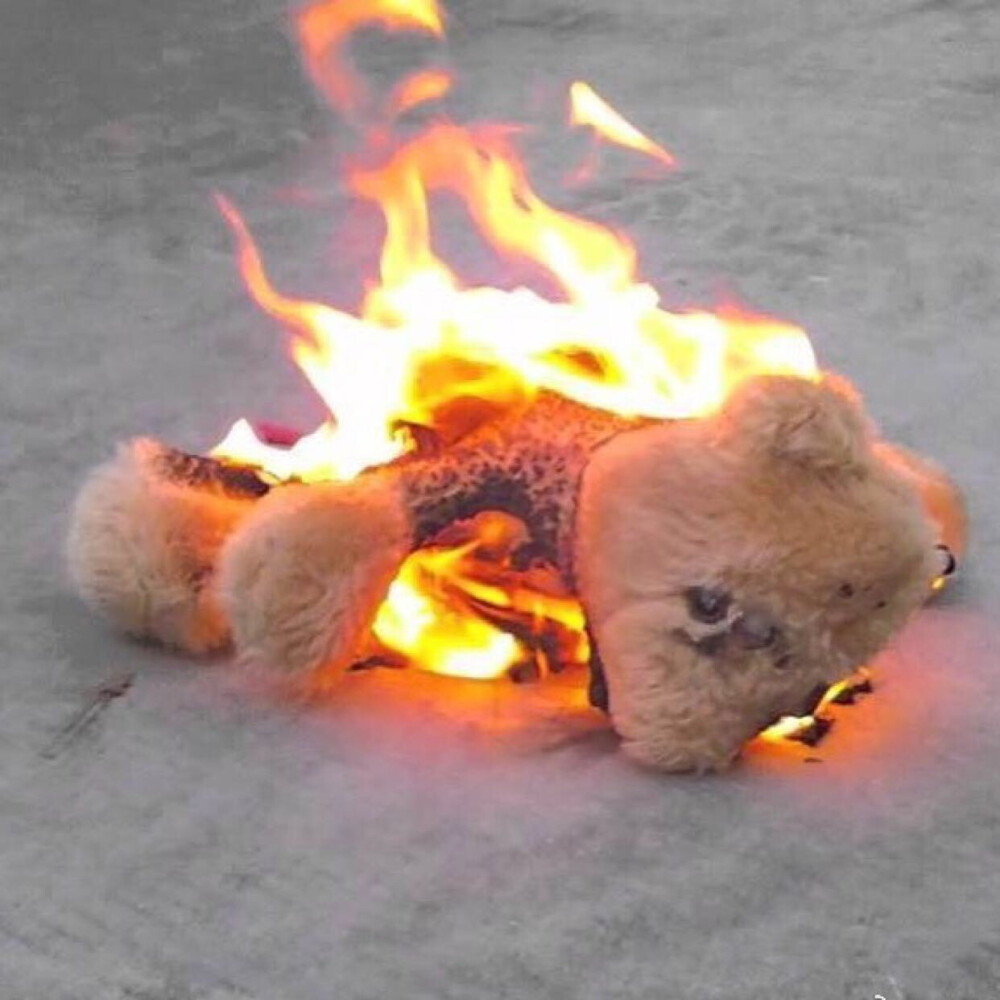 sadsadsadsad - 堆糖，美图壁纸兴趣社区