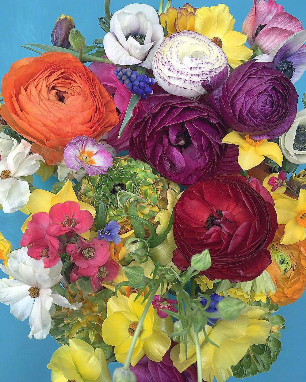 Flower ins：blossomanddill - 堆糖，美图壁纸兴趣社区