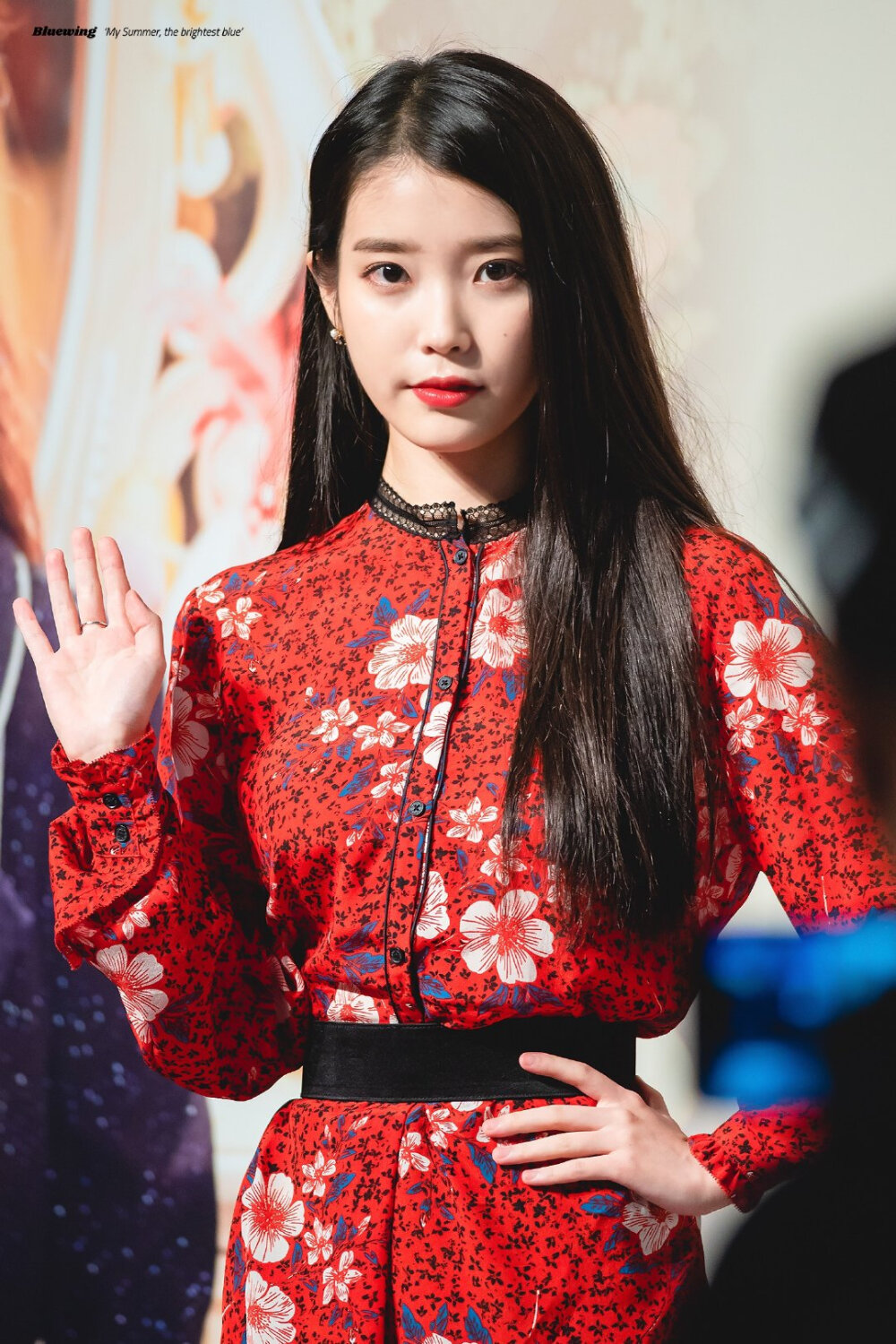 iu_Bluewing iu - 高清图片，堆糖，美图壁纸兴趣社区