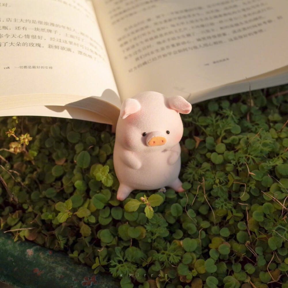 ipad壁纸 lulu猪 - 高清图片，堆糖，美图壁纸兴趣社区