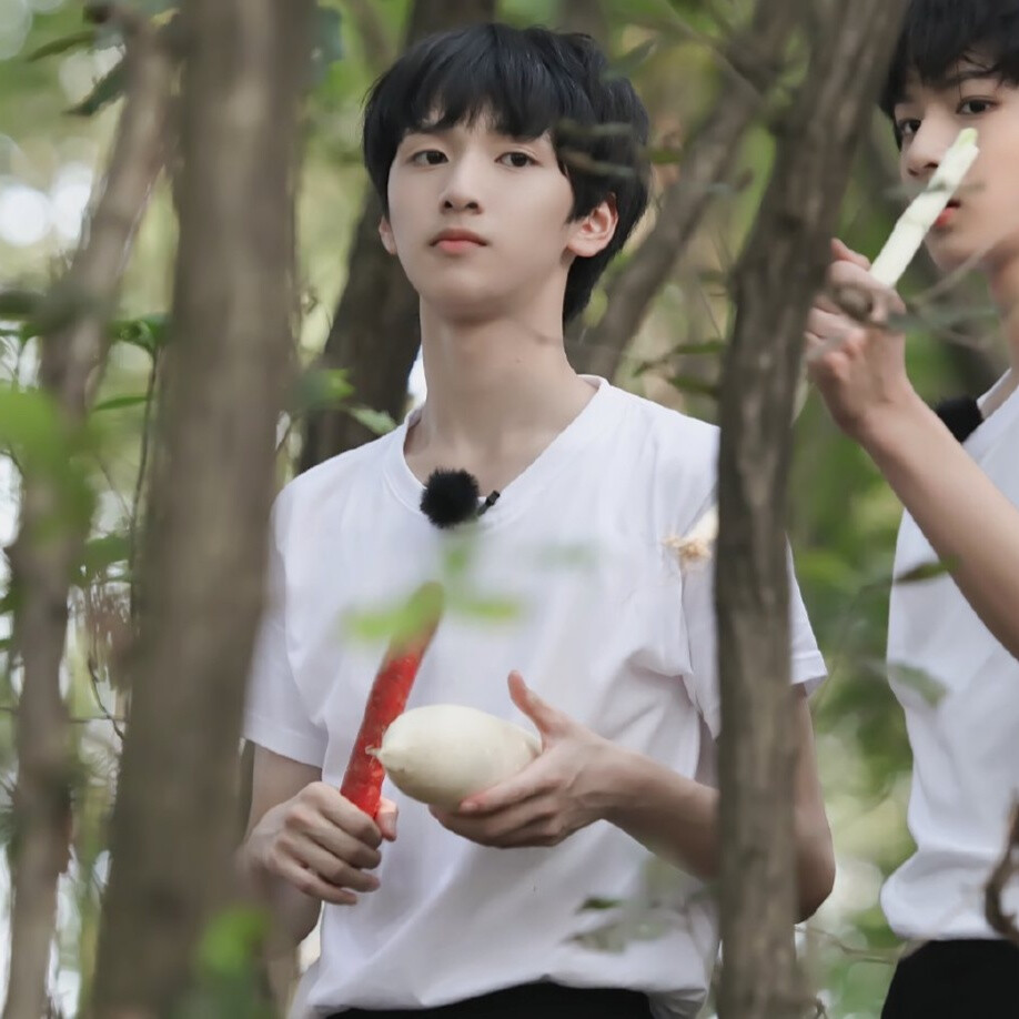 文严文 刘耀文严浩翔 - 高清图片，堆糖，美图壁纸兴趣社区