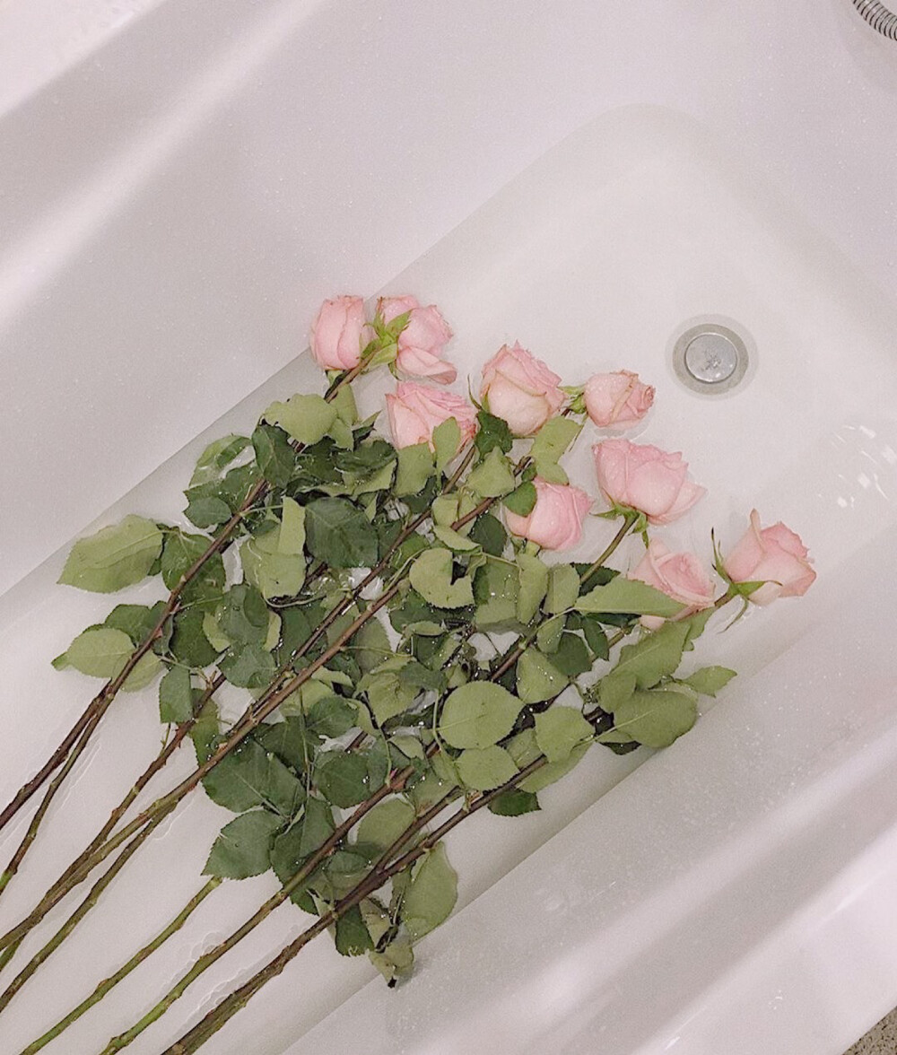 ins风简约壁纸 - 高清图片，堆糖，美图壁纸兴趣社区