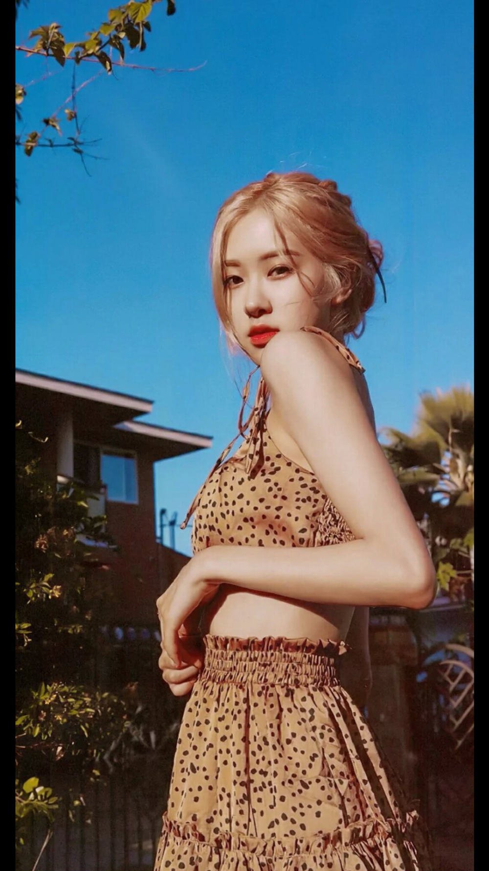 Rose 爱了 INS - 堆糖，美图壁纸兴趣社区