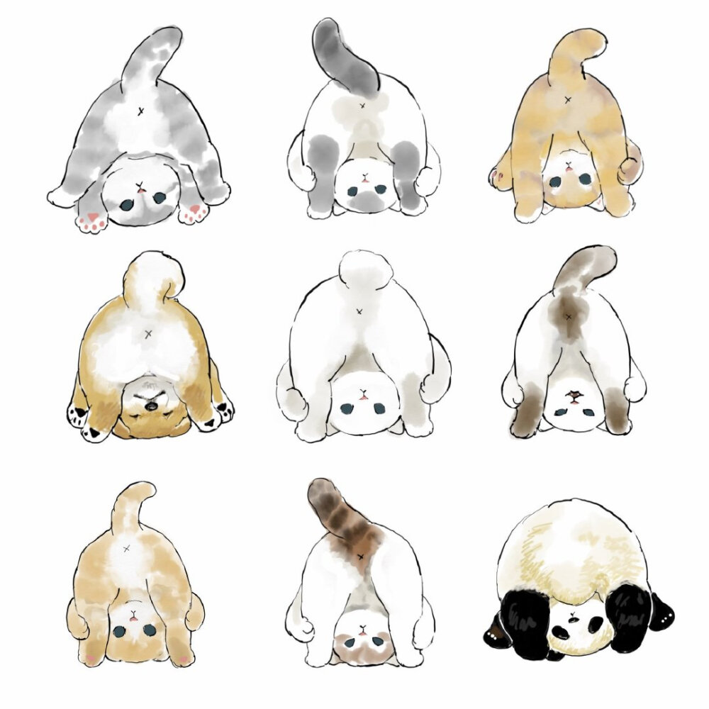 插画师:mofu_sand - 堆糖，美图壁纸兴趣社区