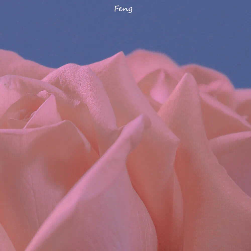 朋友圈背景图 花 lomo ins 少女心 - 高清图片，堆糖，美图壁纸兴趣社区